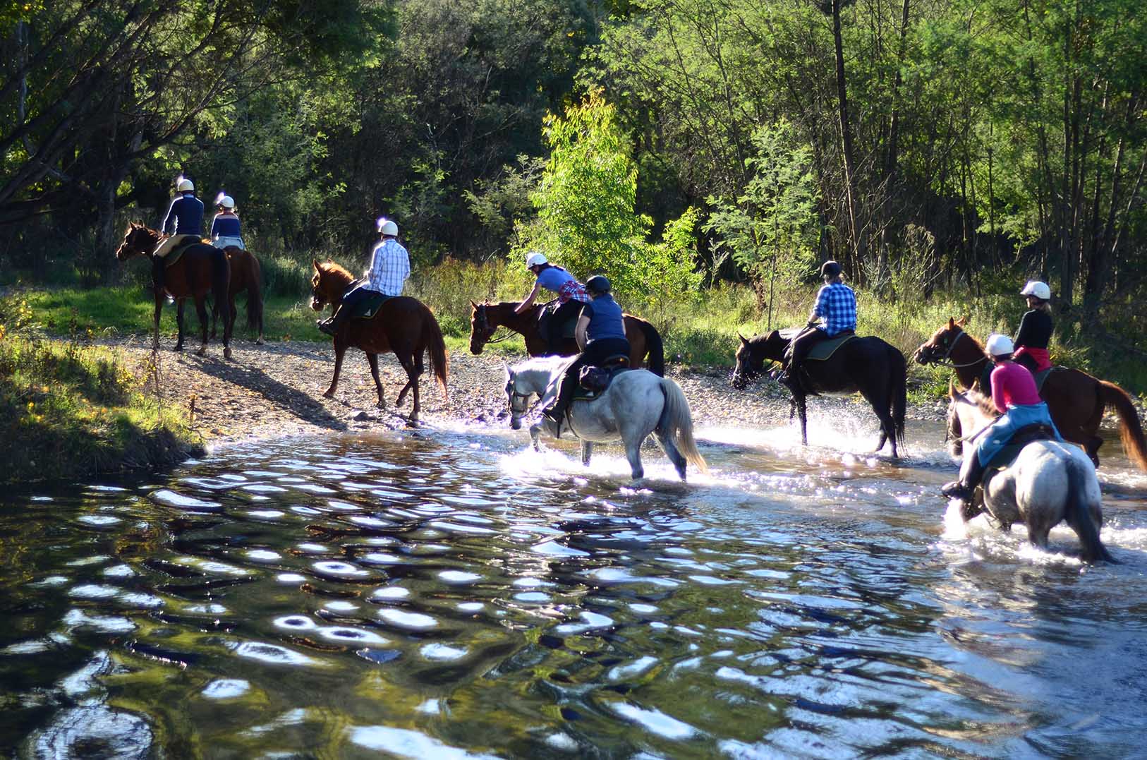BOOKED OUT - CAMP HOWQUA SCHOOL RIDES - Watsons Mountain Country Trail ...