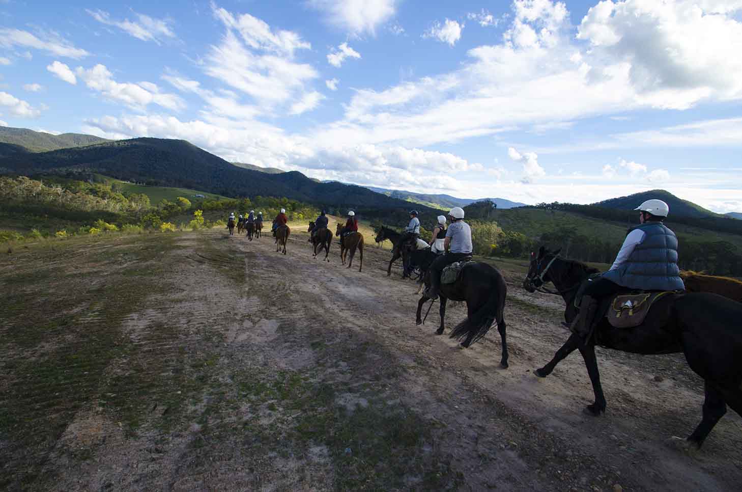 3 Hour Ride - Watsons Mountain Country Trail Rides