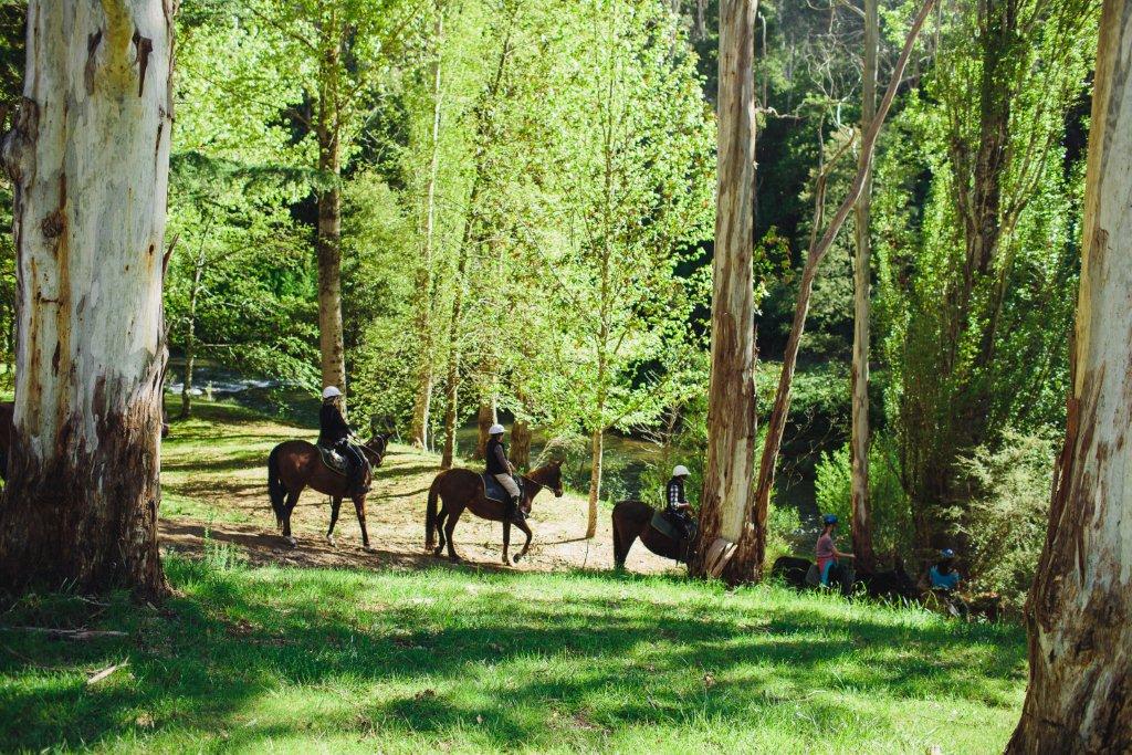 2 Day 2 Night Howqua River Ride - Watsons Mountain Country Trail Rides