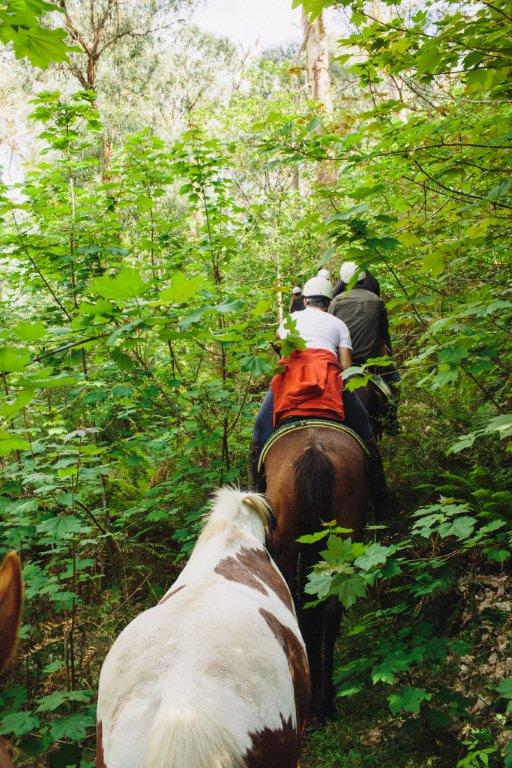 BOOKED OUT - 7 DAY SCHOOL GROUP RIDE - Watsons Mountain Country Trail Rides
