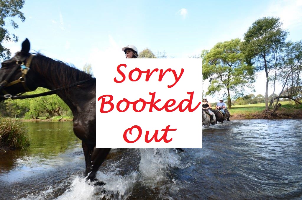 3 Day 2 Night Howqua River Ride - Watsons Mountain Country Trail Rides